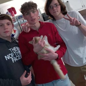 DJ Cook - Bio, Age, Height, Married, Nationality, Net Worth, Facts